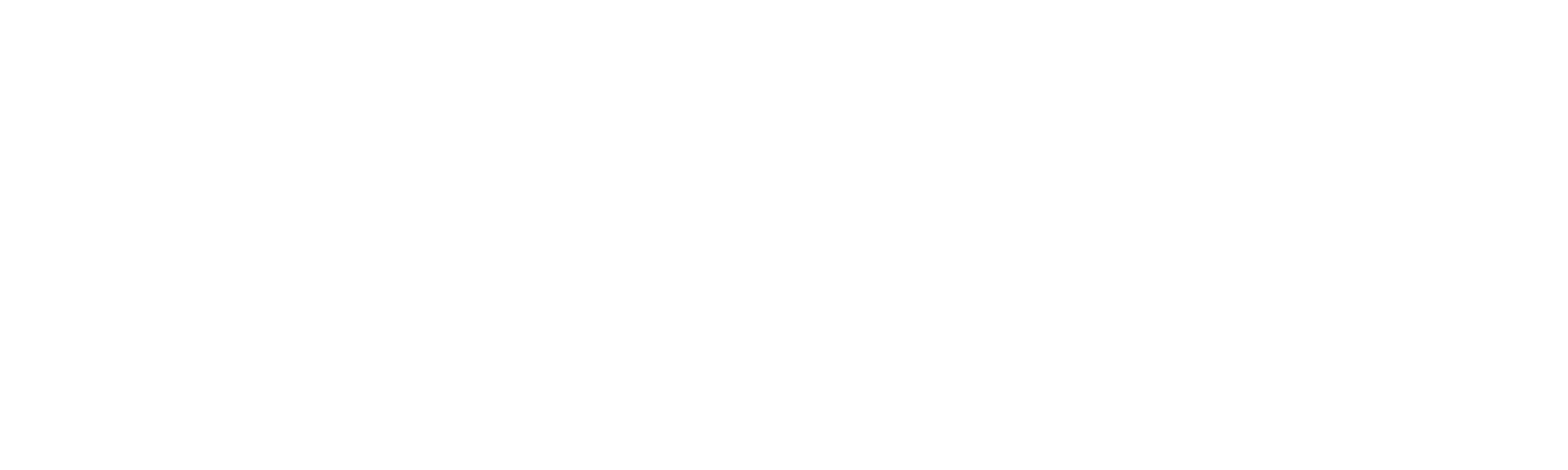 Seifert Systems Archives - EU4Dual